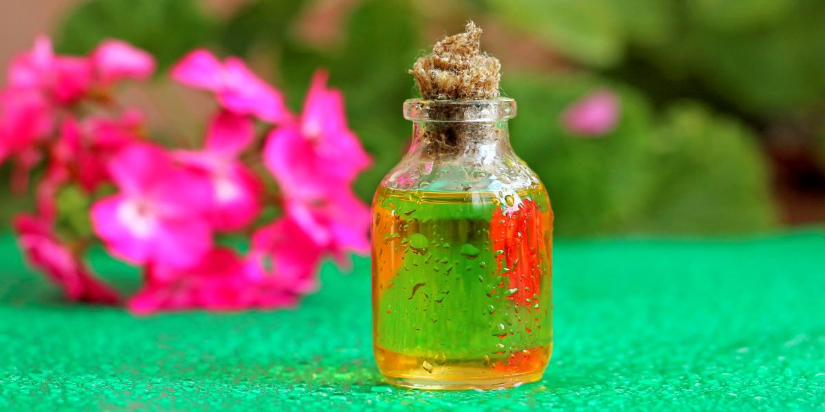 Amazing Benefits Of Geranium Oil For Hair - Natural Hair Insights